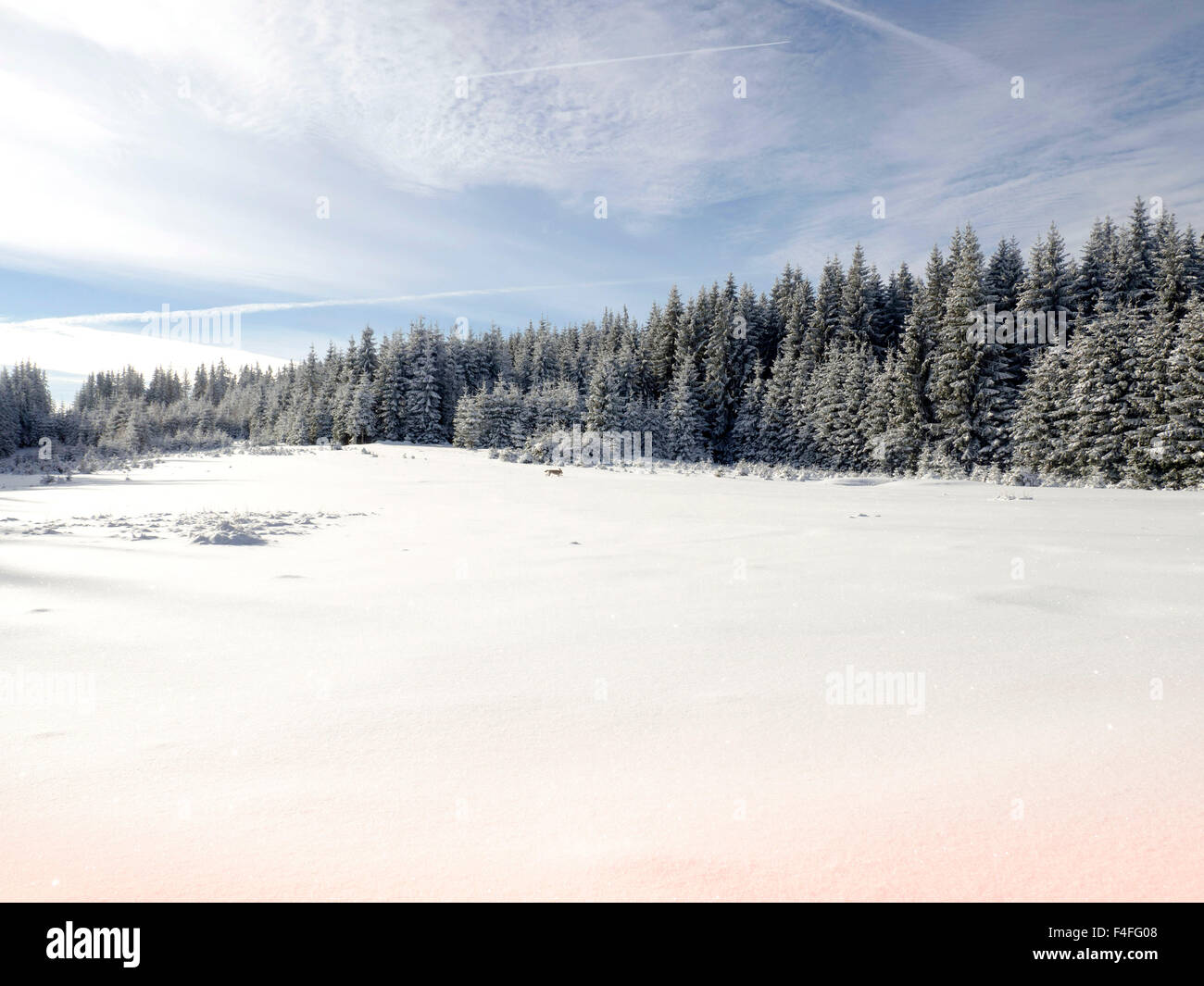 Wonderful winter scene hi-res stock photography and images - Alamy