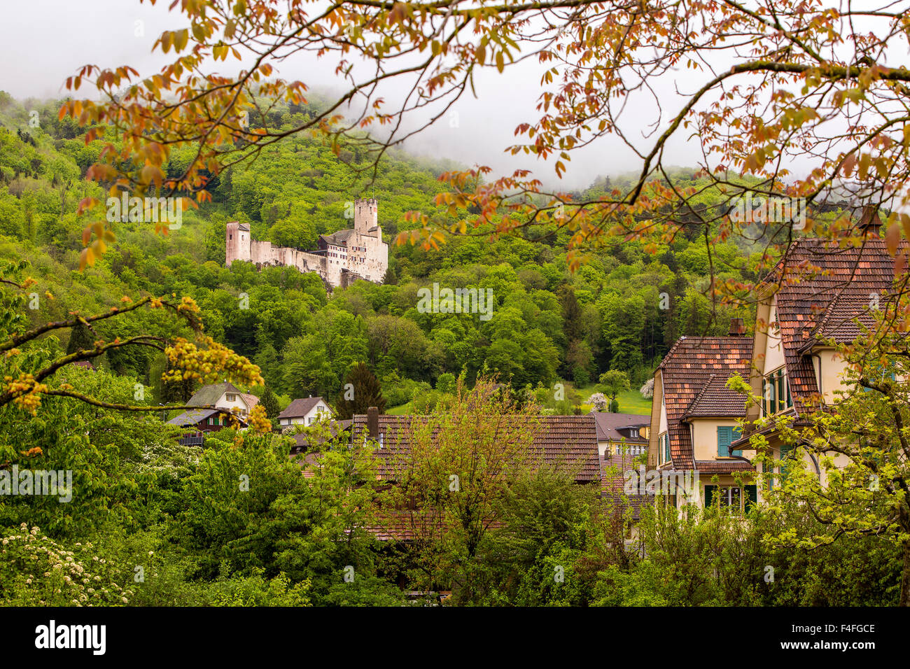 Neu-Bechburg castle above Oensingen, Canton Solothurn, Switzerland ...
