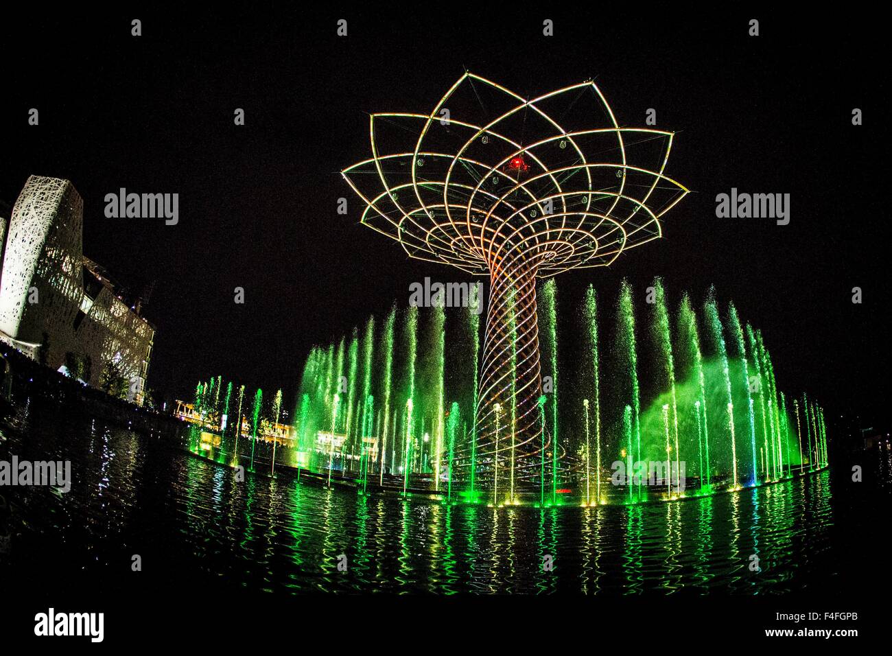 Albero della vita tree of life hi-res stock photography and images - Alamy