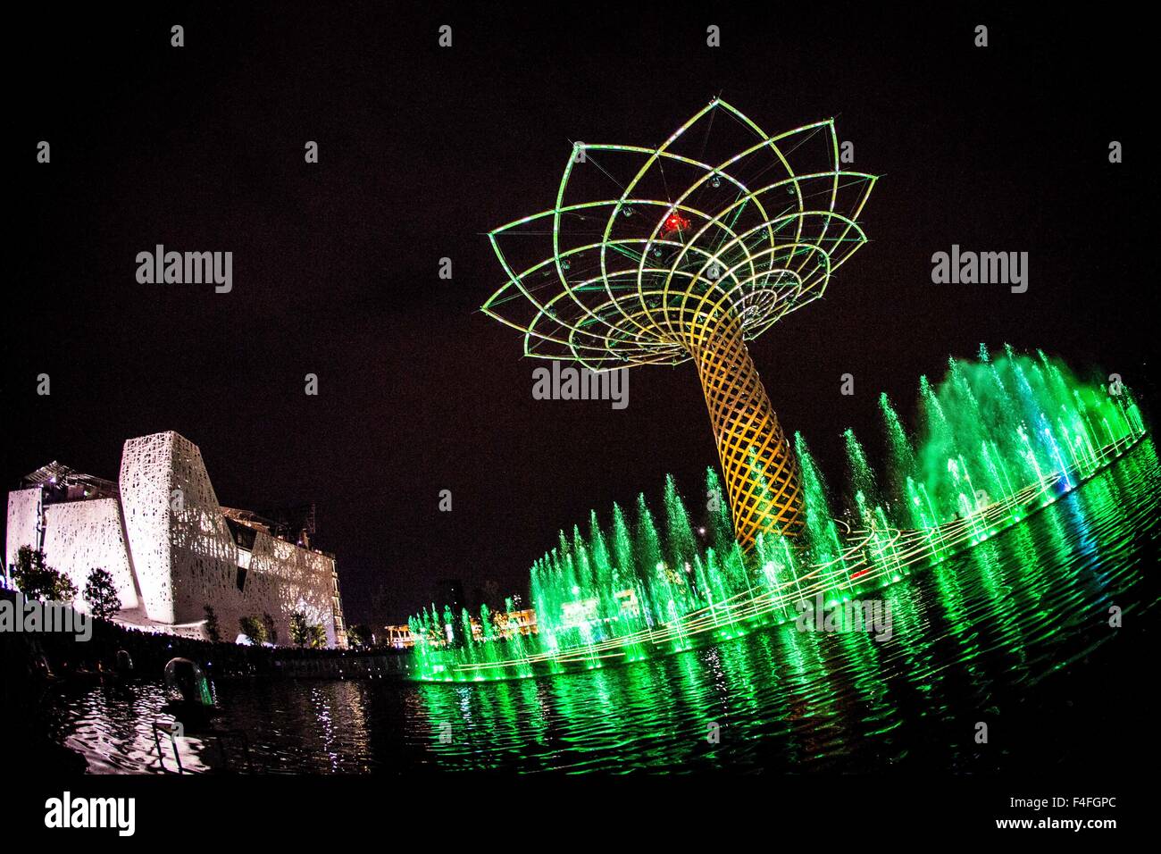Albero della vita tree of life hi-res stock photography and images - Alamy
