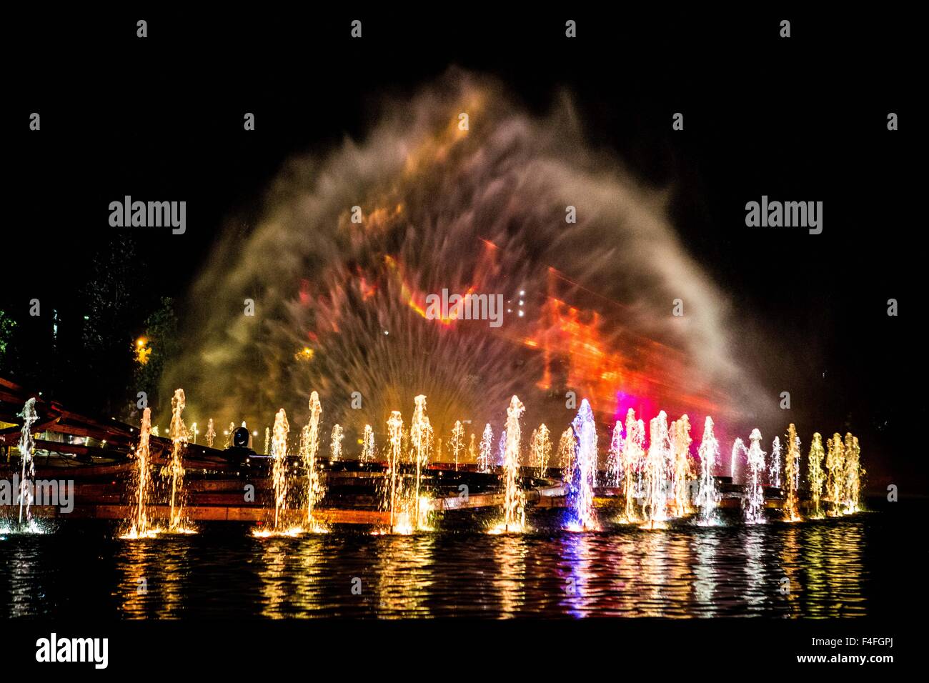 Albero della vita tree of life hi-res stock photography and images - Alamy