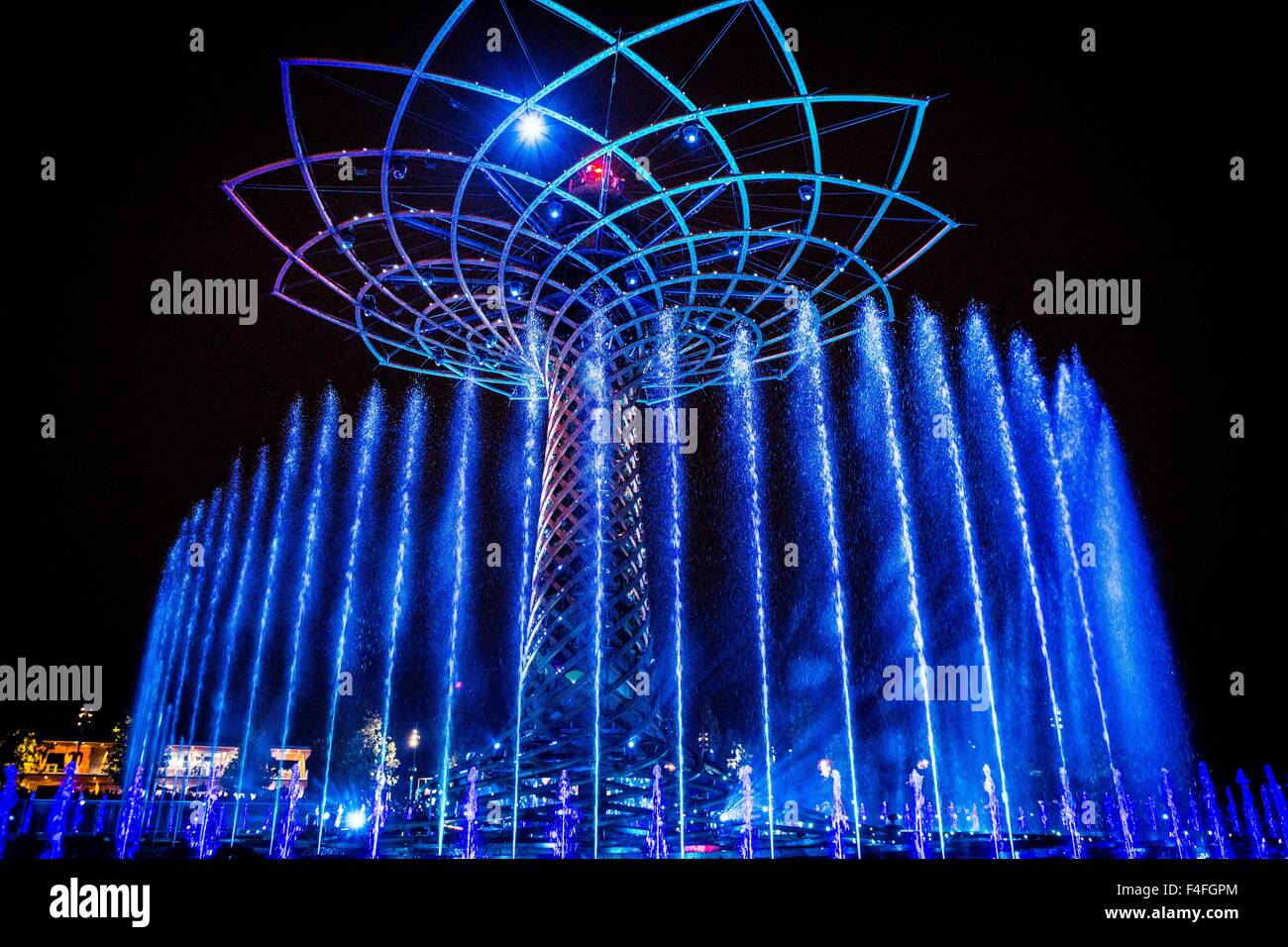 Albero della vita tree of life hi-res stock photography and images - Alamy