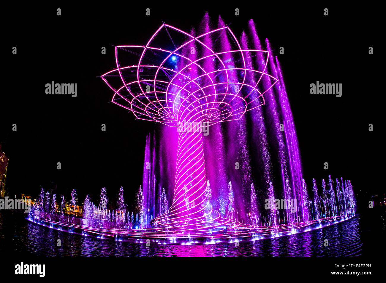 Albero della vita tree of life hi-res stock photography and images - Alamy