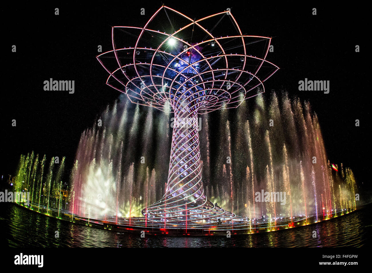 Albero della vita tree of life hi-res stock photography and images - Alamy