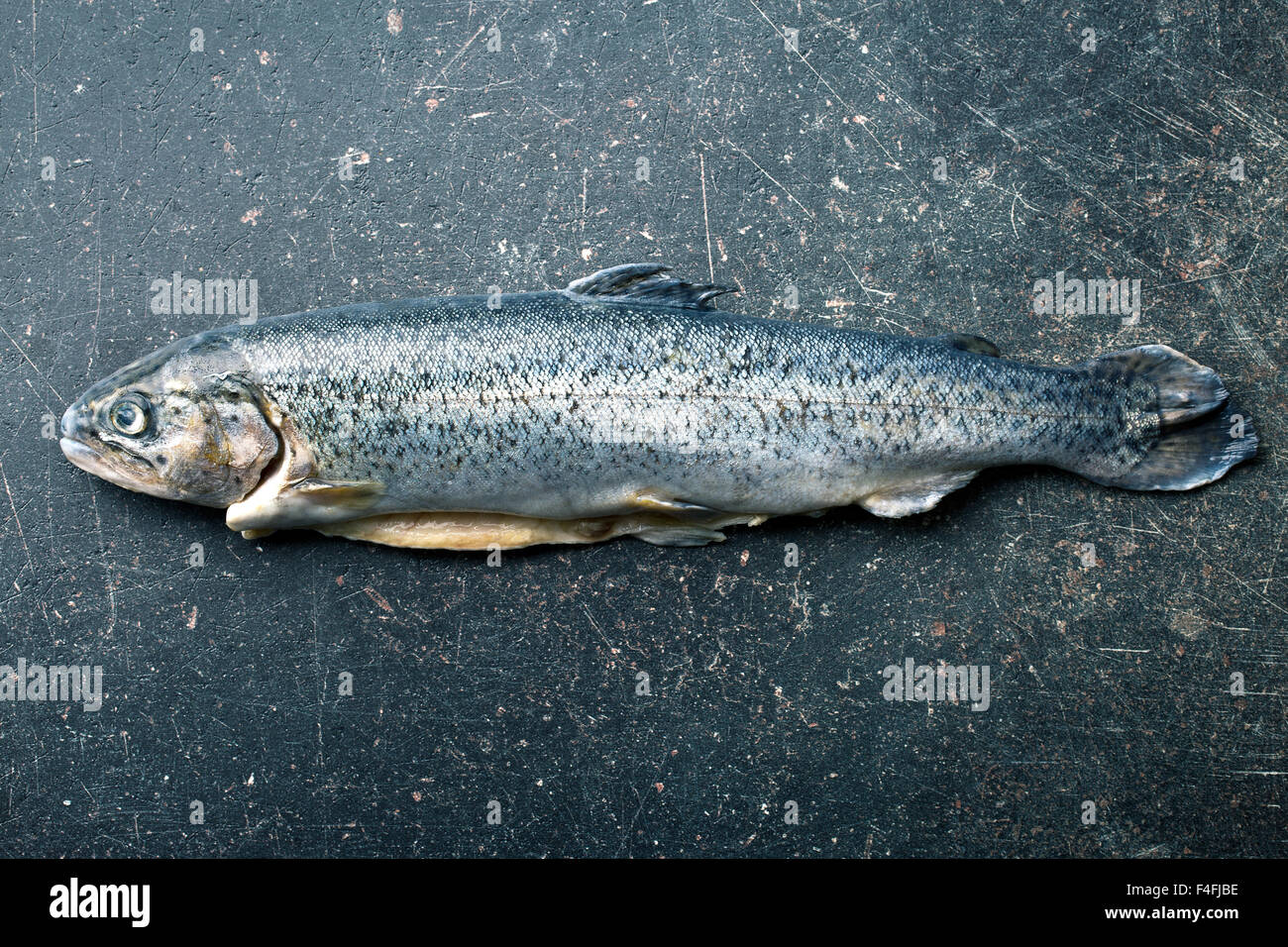 the gutted trout old kitchen table Stock Photo - Alamy