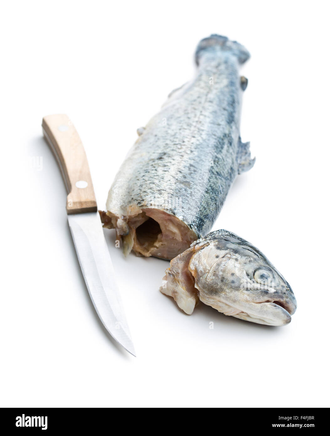 Fish rearing Cut Out Stock Images & Pictures - Alamy