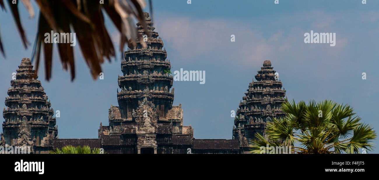 Leaves in front of Angkor Wat Stock Photo - Alamy
