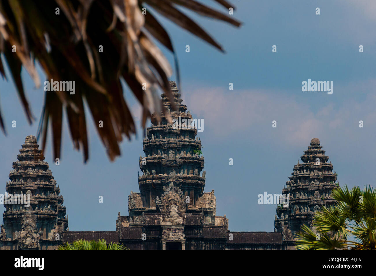 Leaves in front of Angkor Wat Stock Photo - Alamy