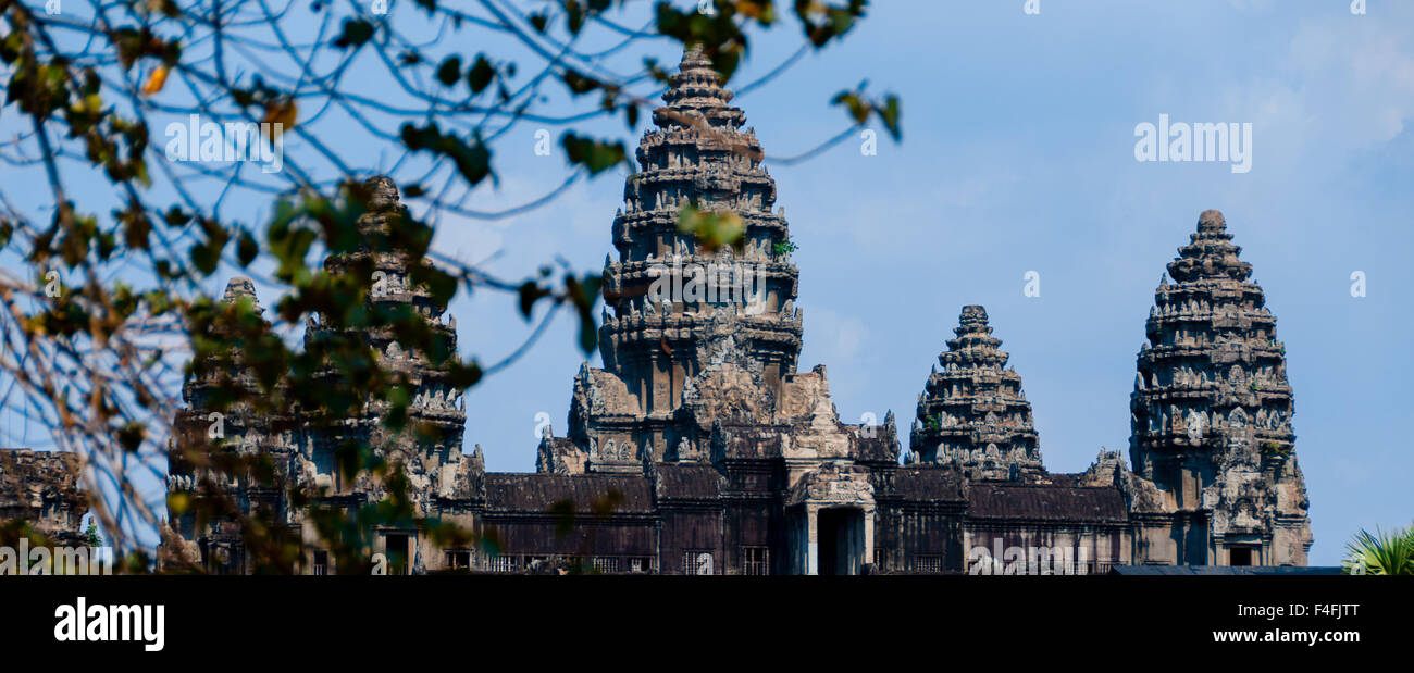 Leaves in front of Angkor Wat Stock Photo - Alamy