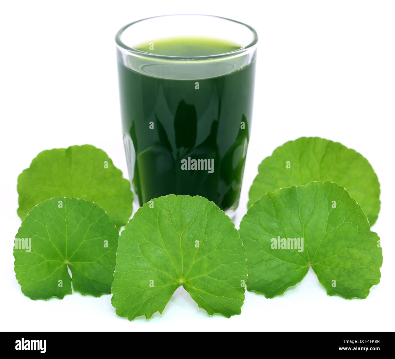 Medicinal thankuni leaves of Indian subcontinent with extract Stock ...