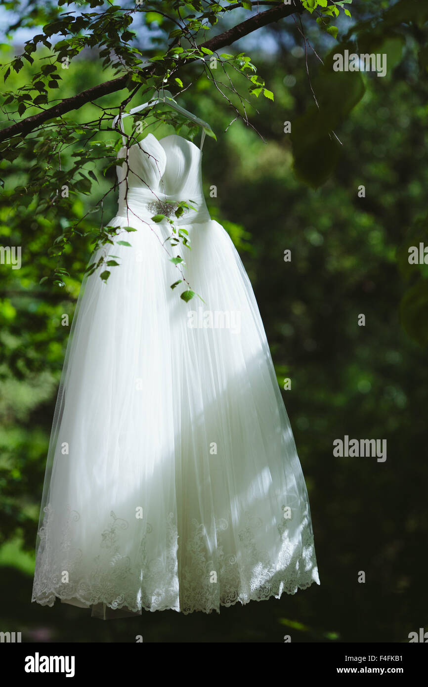 Wedding dress hanging on a tree in the park Stock Photo - Alamy