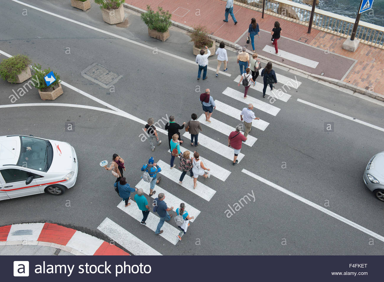 Zebra Cross Stock Photos & Zebra Cross Stock Images - Alamy