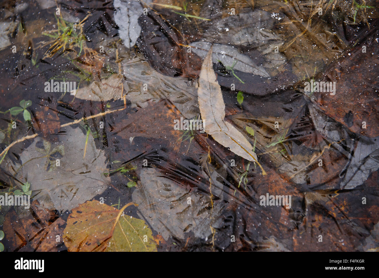 Rain crust hi-res stock photography and images - Alamy