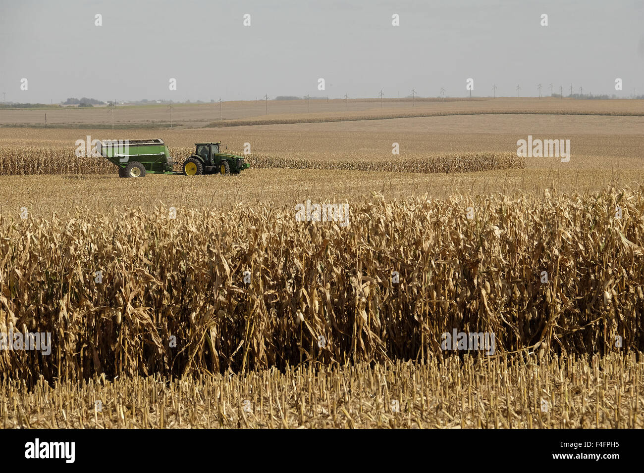 Orange City, IOWA, USA. 9th Oct, 2015. A farmer positions his grain ...