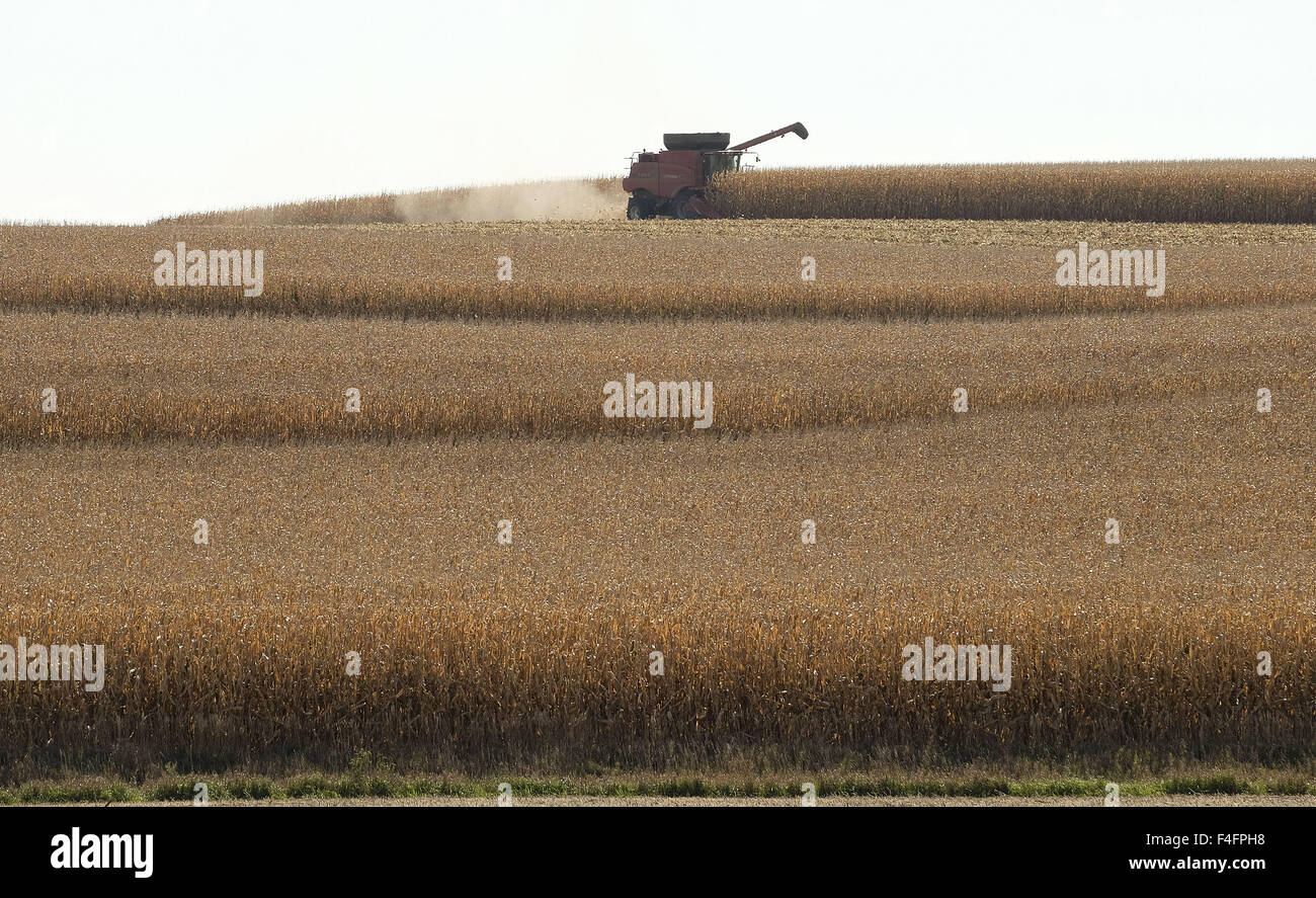 Farmer in iowa soybean field hi-res stock photography and images - Alamy