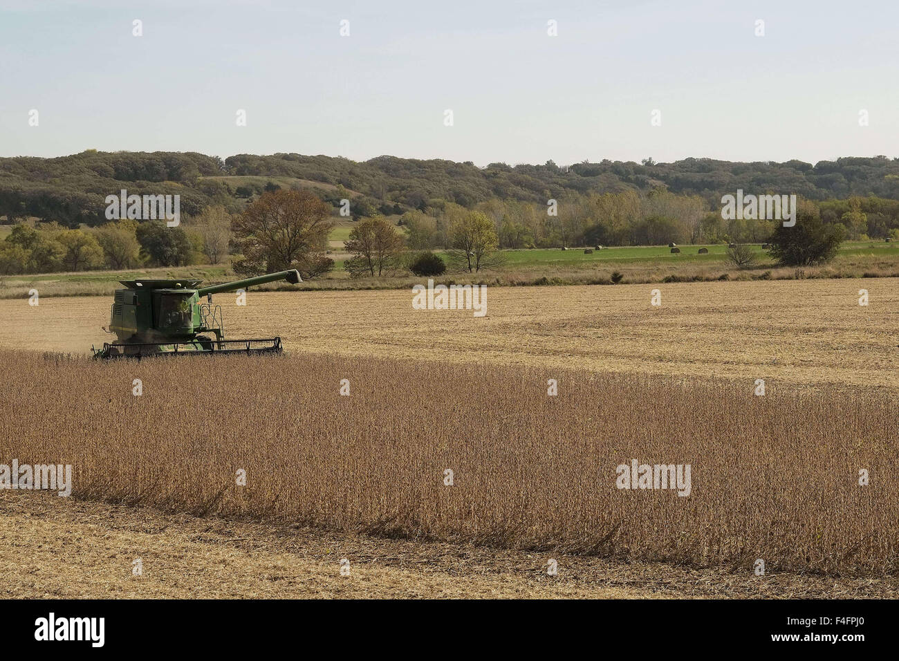 Farmer in iowa soybean field hi-res stock photography and images - Alamy