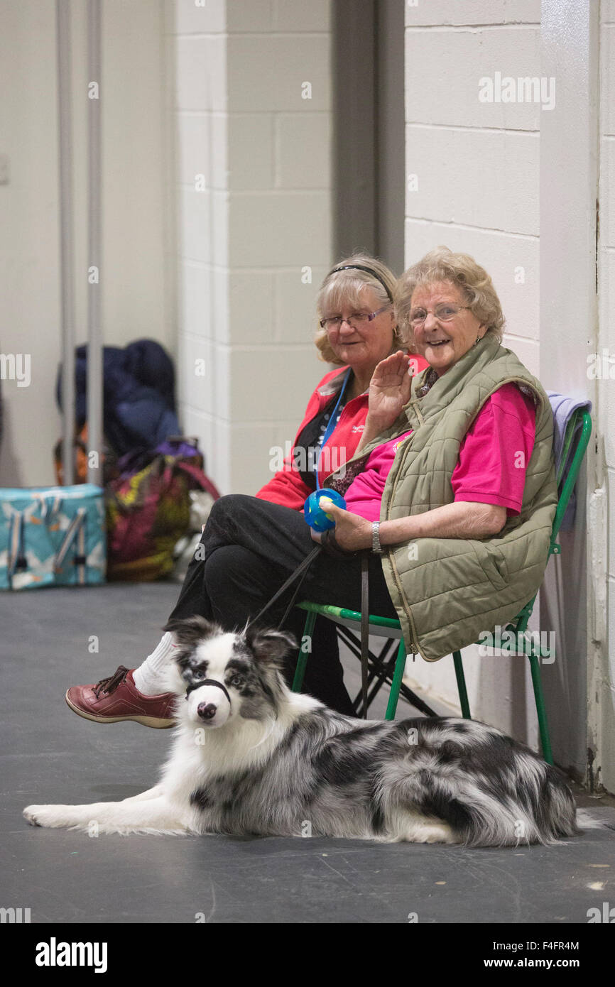 Discover dogs hi-res stock photography and images - Alamy