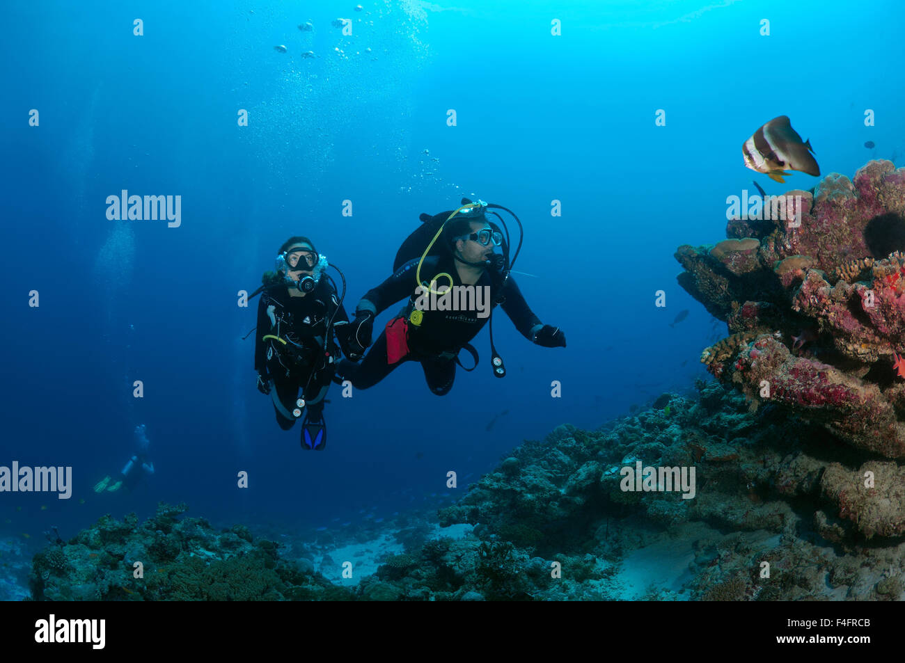 Young couple divers swimming near reef and looking at the fish ...