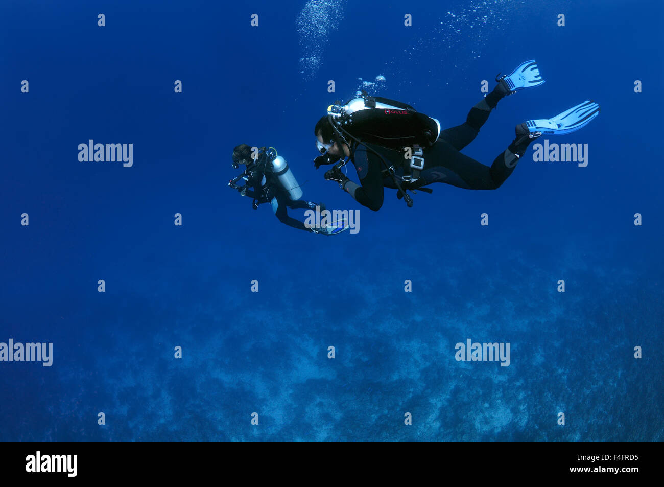 Young couple divers swimming in the water column, the Indian Ocean ...