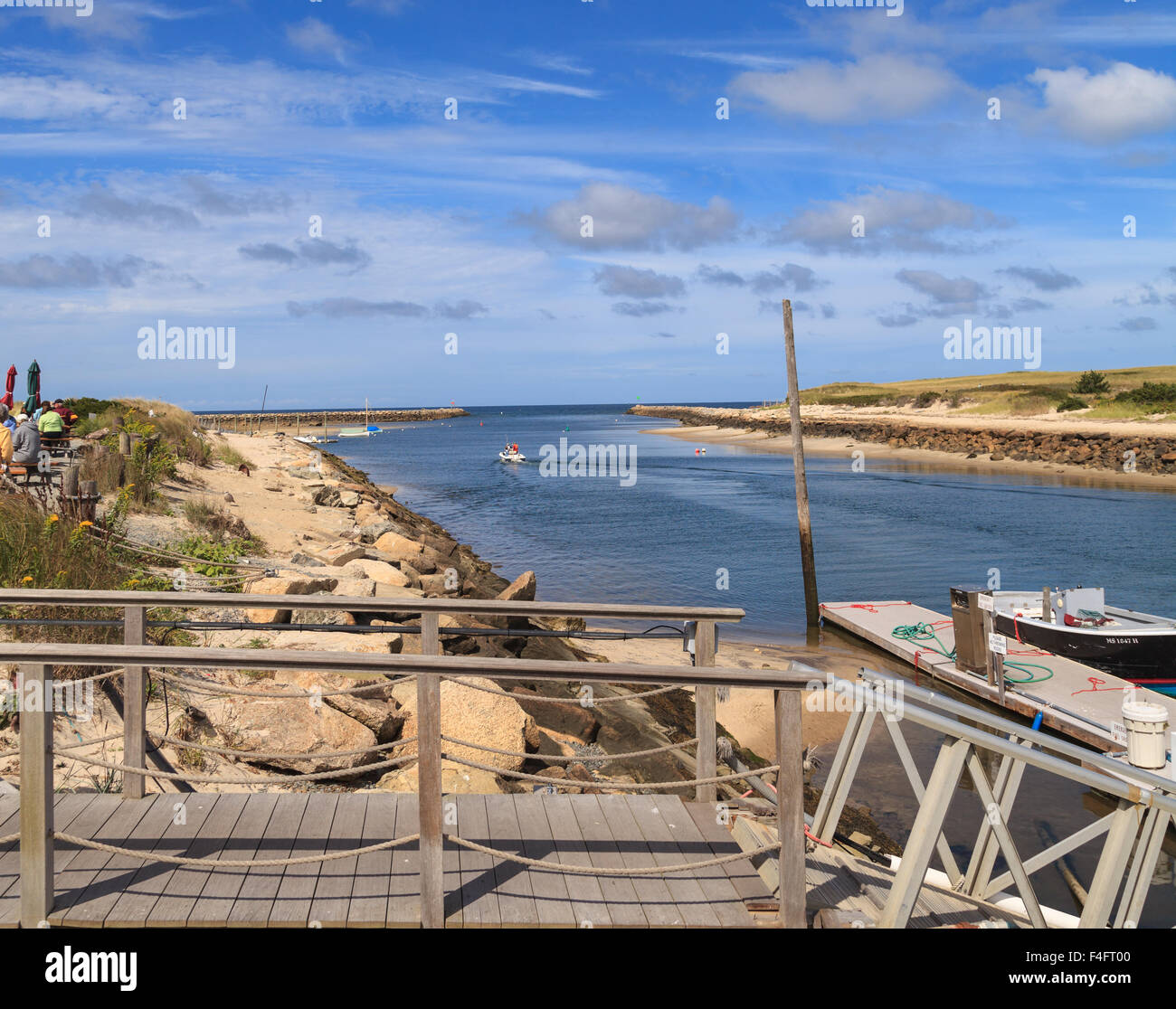 Are Dogs Allowed At Sesuit Harbor