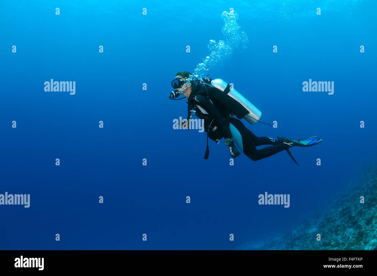 Indian Ocean, Maldives. 26th Sep, 2015. Young woman diver swimming in ...