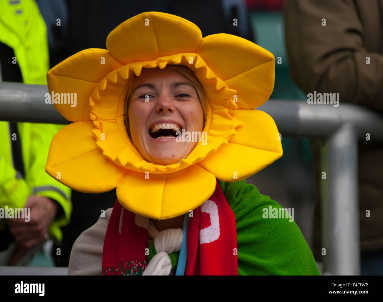 Twickenham Stadium, London, UK. 17th October, 2015. Daffodil wearing ...