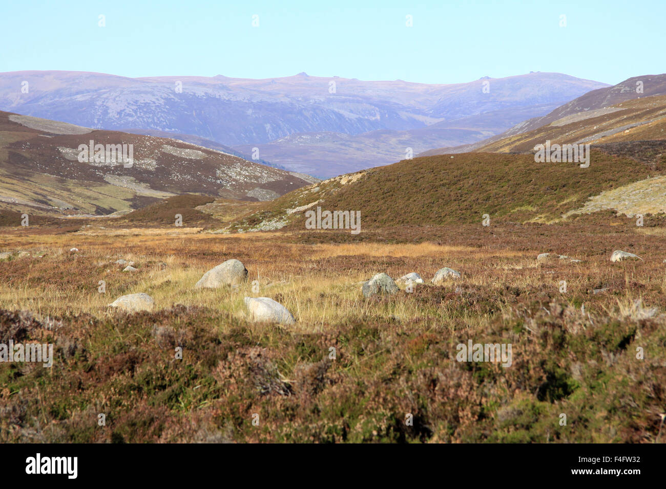 Scenic autumn view from Glen Callater across heather towards Ben Avon ...