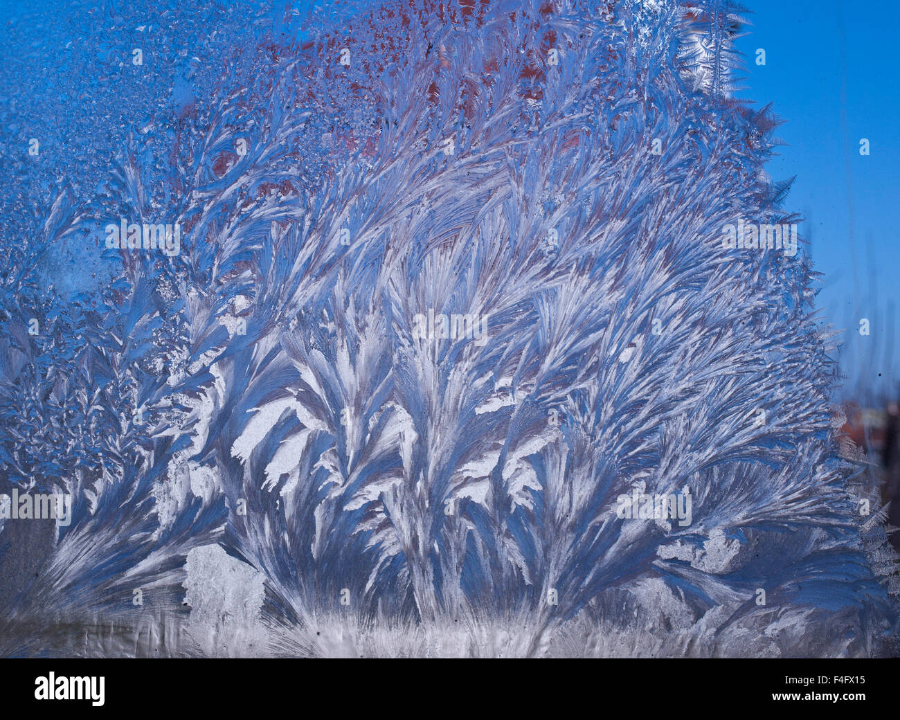 Frost art on the window Stock Photo - Alamy
