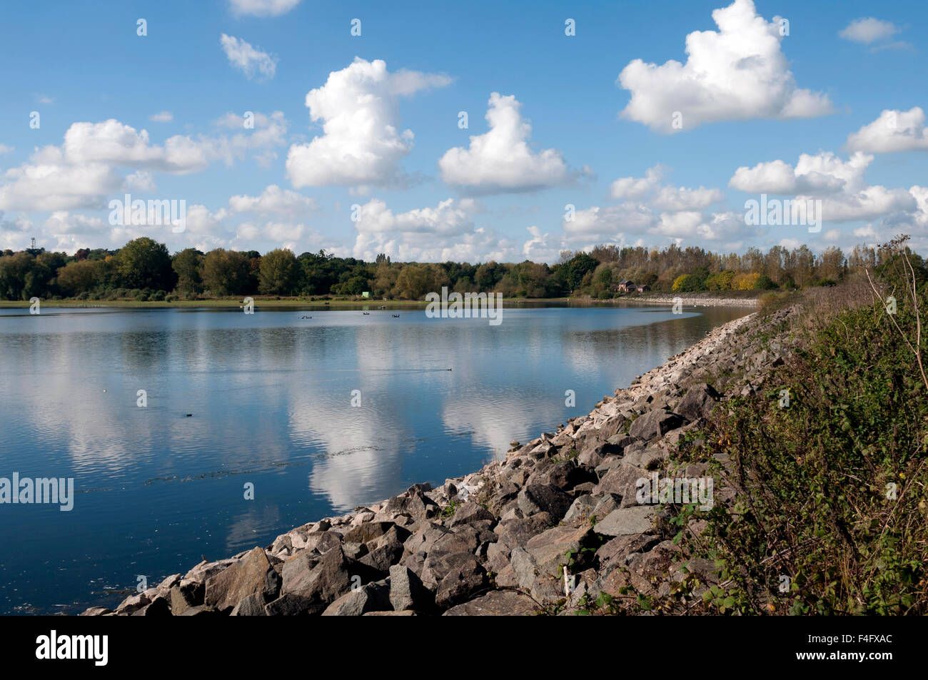 Daventry Country Park, Northamptonshire, England, UK Stock Photo - Alamy