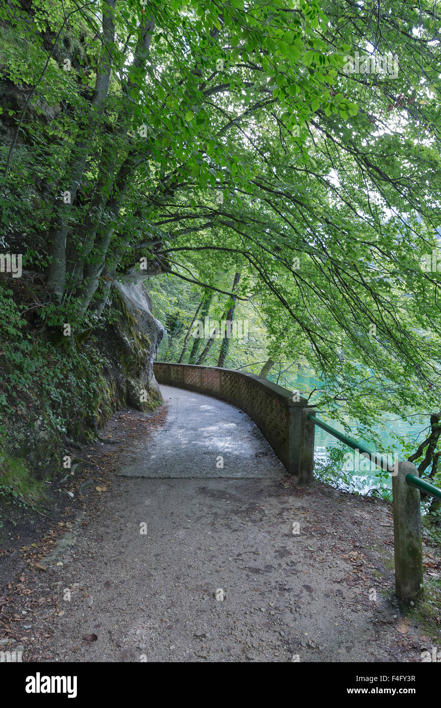 walking path around Lake Bled, Slovenia Stock Photo - Alamy