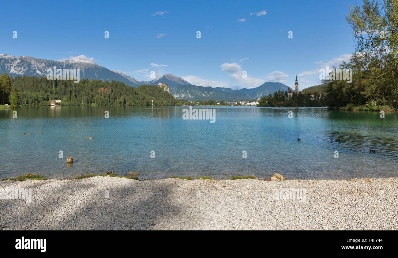 Bled lake pubble beach, Slovenia Stock Photo - Alamy