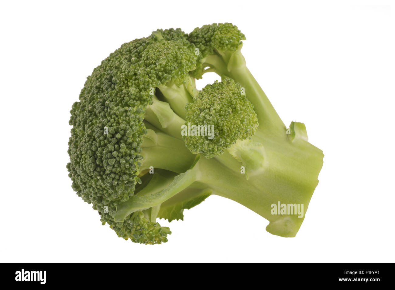 broccoli isolated on white background, close, zoom Stock Photo - Alamy