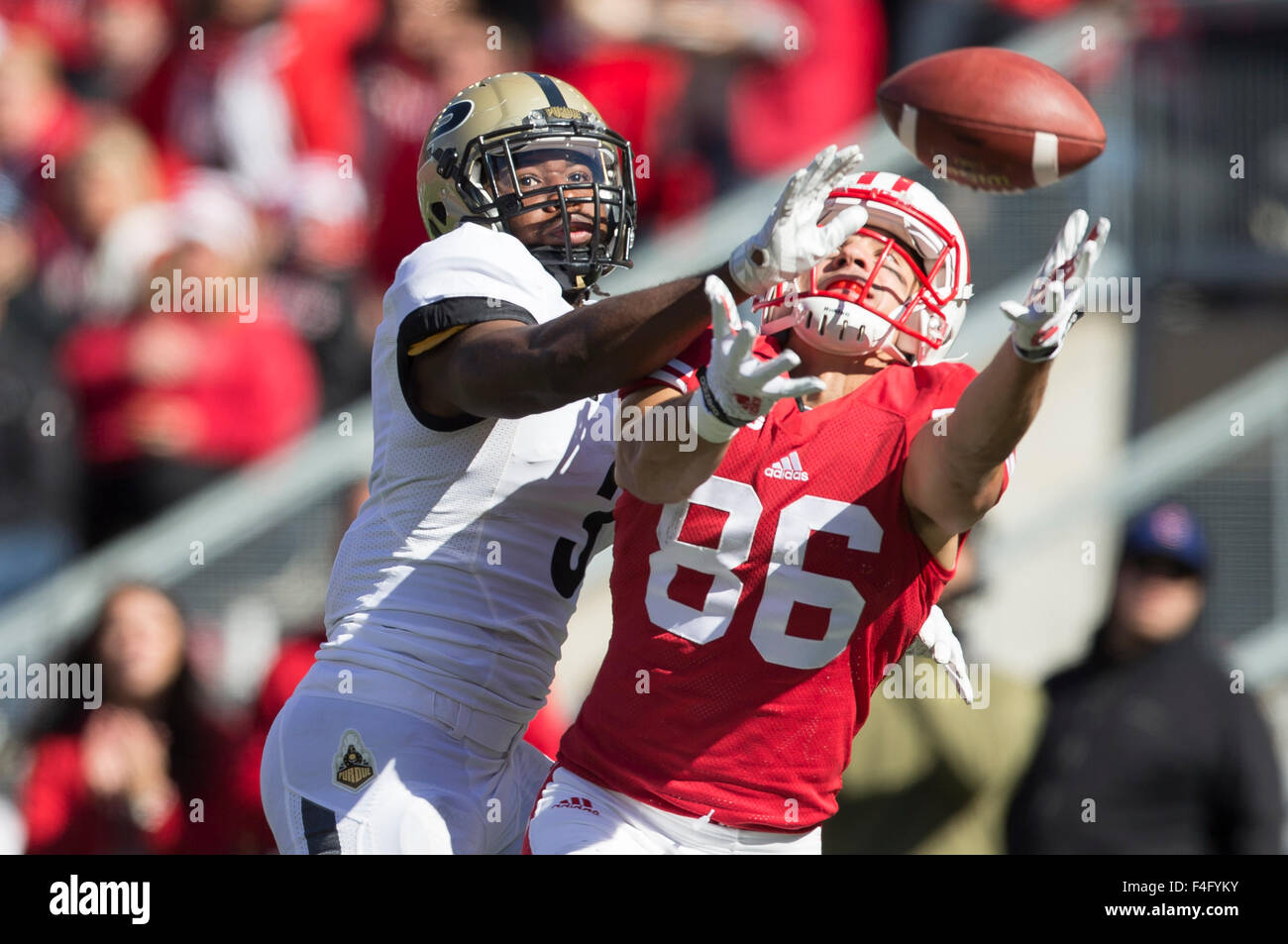 Alex clark in hi-res stock photography and images - Alamy