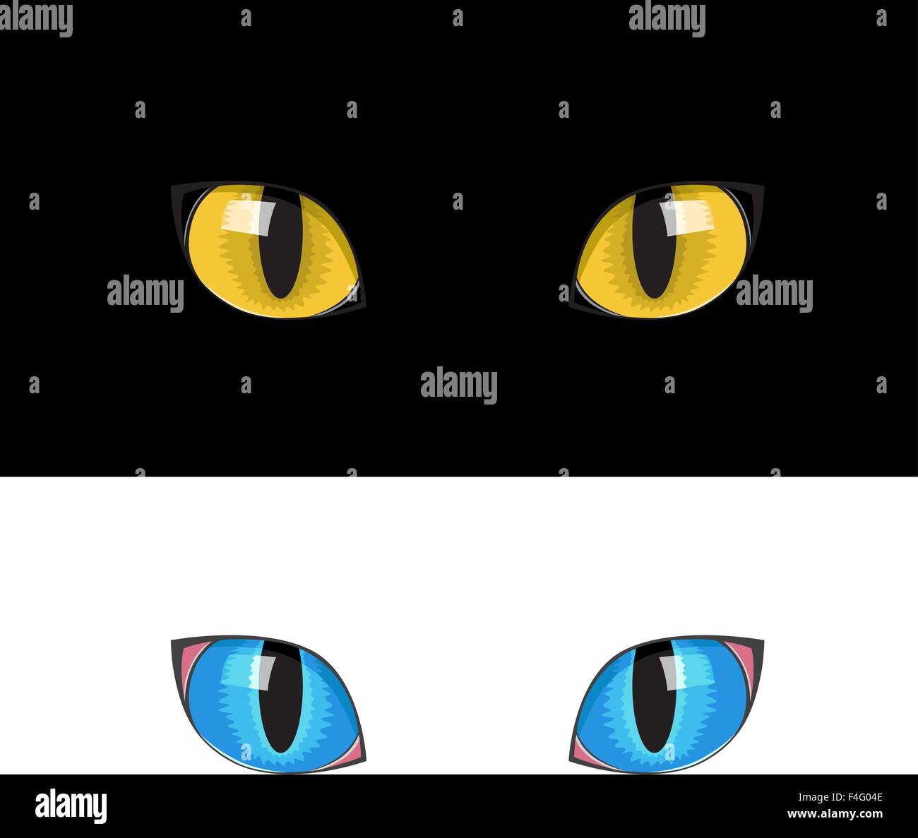 The cat eyes Stock Vector Image & Art - Alamy