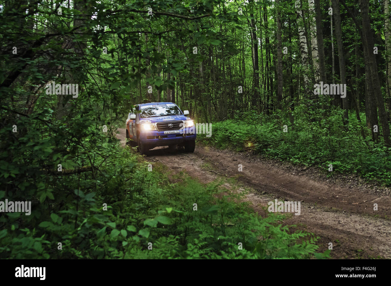 Rally car on special forest hi-res stock photography and images - Alamy