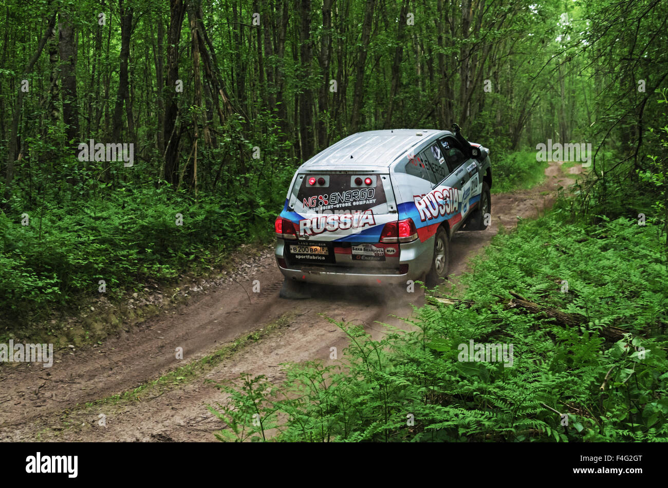 Races on a rally-raid in forest. Rally-raid Baha "Belarus" 2015 ...
