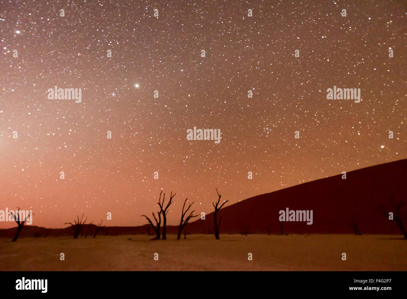 Dead Vlei at dusk in the southern part of the Namib Desert, in the ...