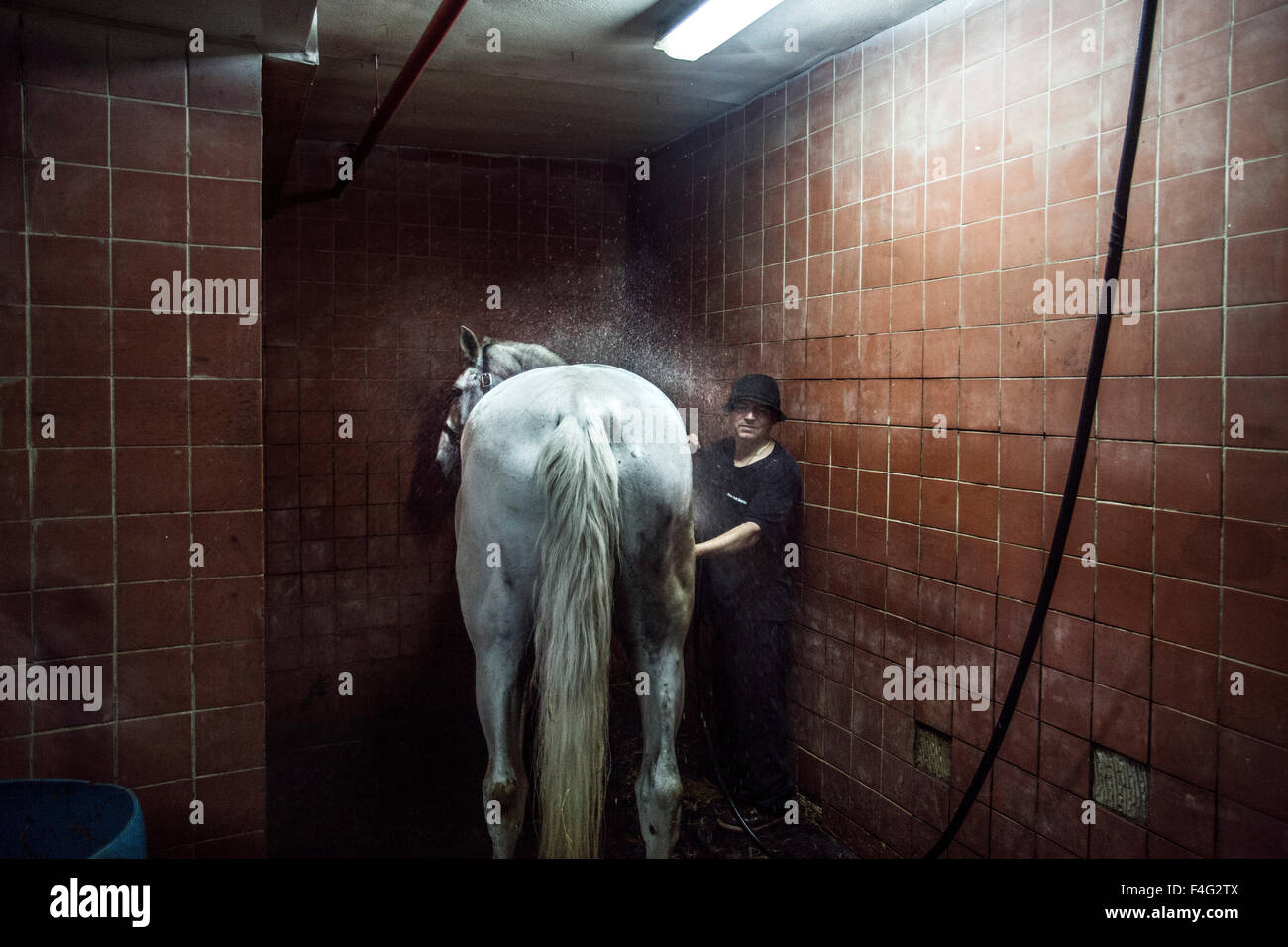 Carriage wash hi-res stock photography and images - Alamy