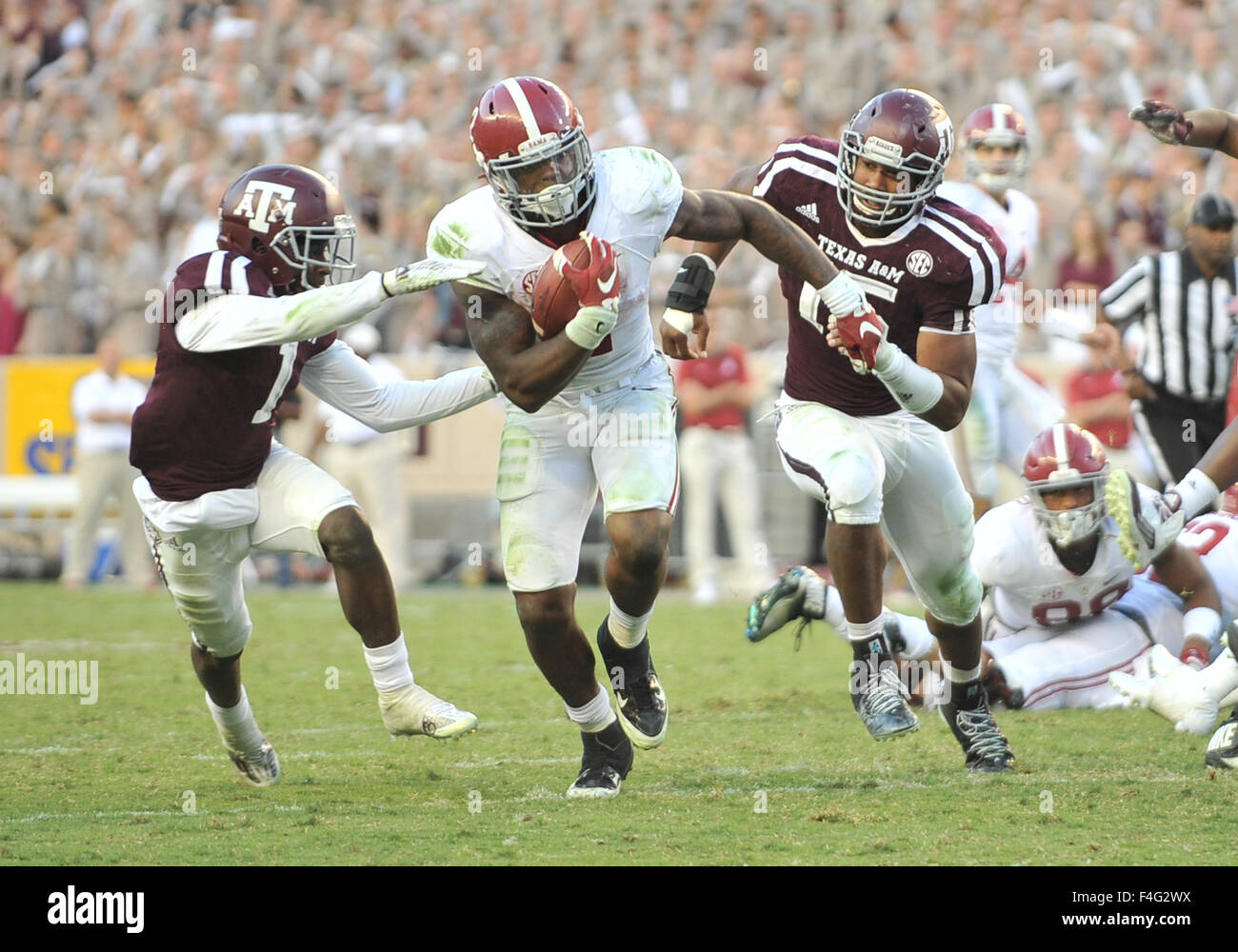 Patrick myles hi-res stock photography and images - Alamy