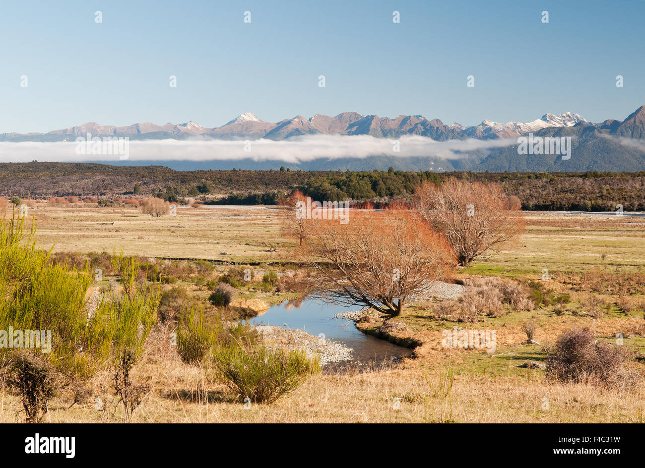 Rural South Island of New Zealand scene with mountains Stock Photo - Alamy