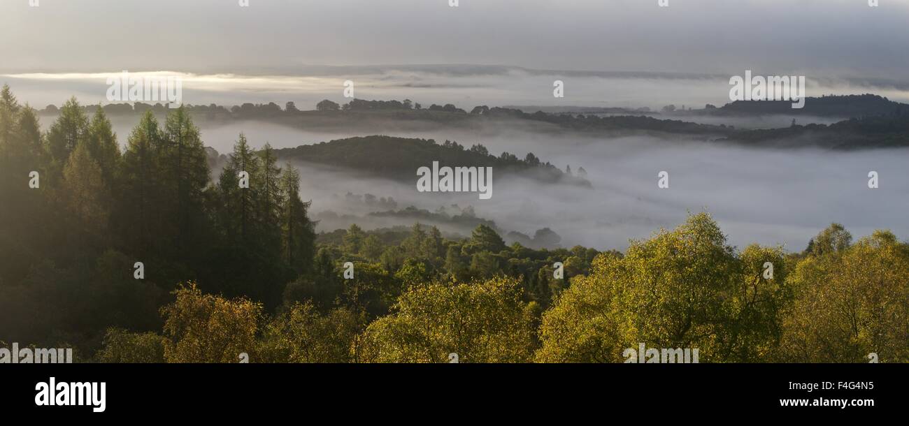Layers of mist hi-res stock photography and images - Alamy
