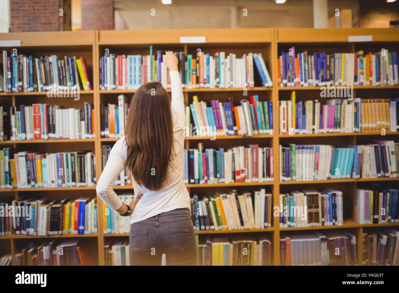 Rear view of female student picking book from shelf Stock Photo - Alamy