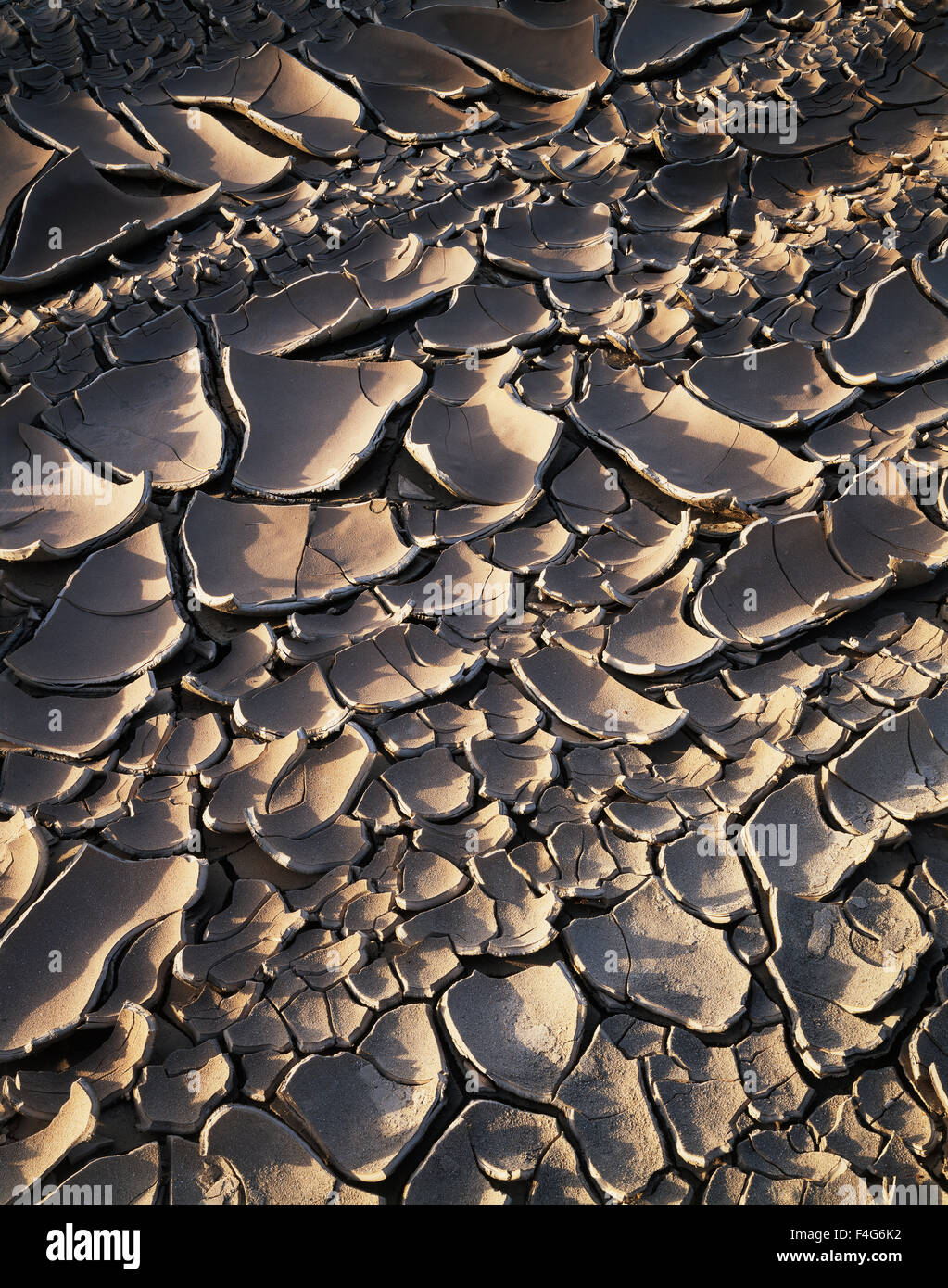 California, Anza Borrego Desert State Park, Patterns of cracked mud ...