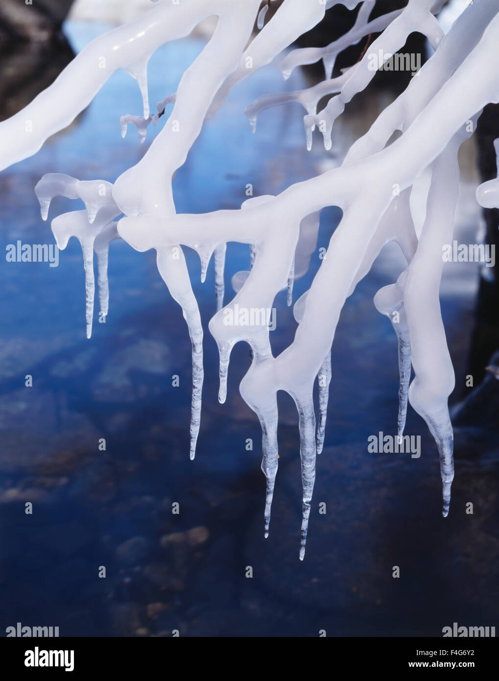California, Sierra Nevada Mountains, Inyo National Forest, Icicles ...