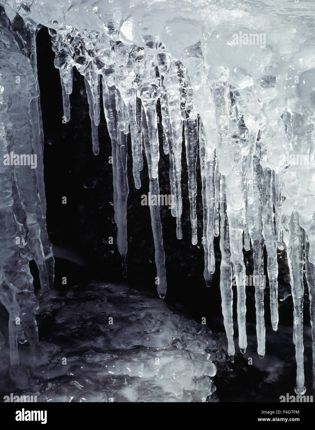 California, Sierra Nevada Mountains, Inyo National Forest, Icicles ...