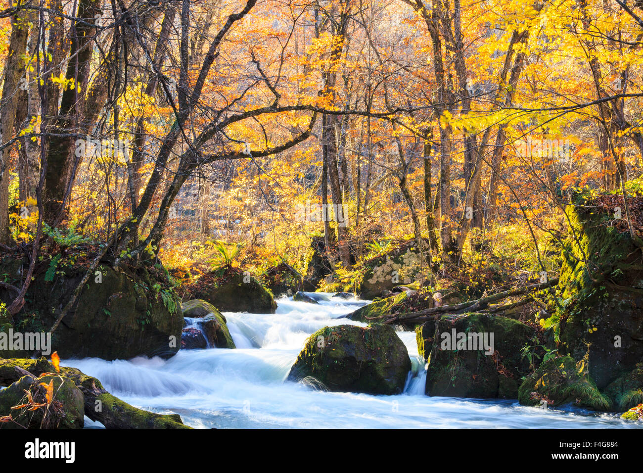 Oirase gorge in Towada, Aomori, Japan Stock Photo - Alamy