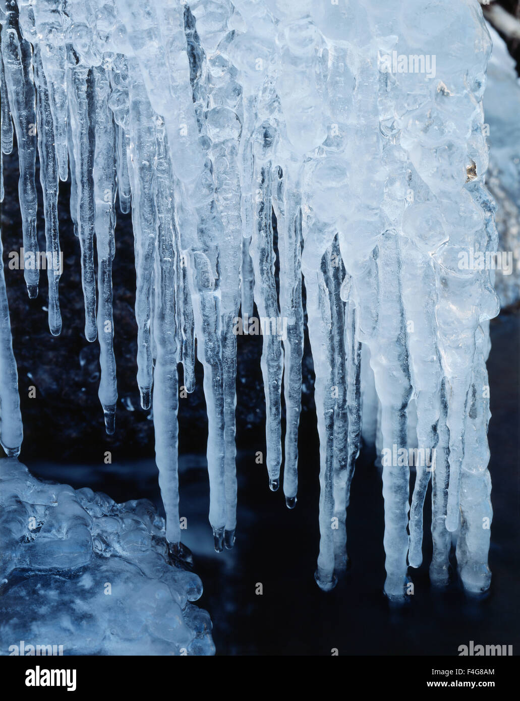 California, Sierra Nevada Mountains, Inyo National Forest, Icicles ...