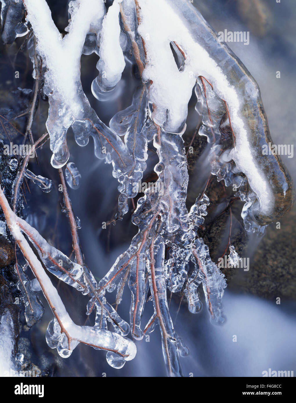 California, Sierra Nevada Mountains, Inyo National Forest, Icicles ...