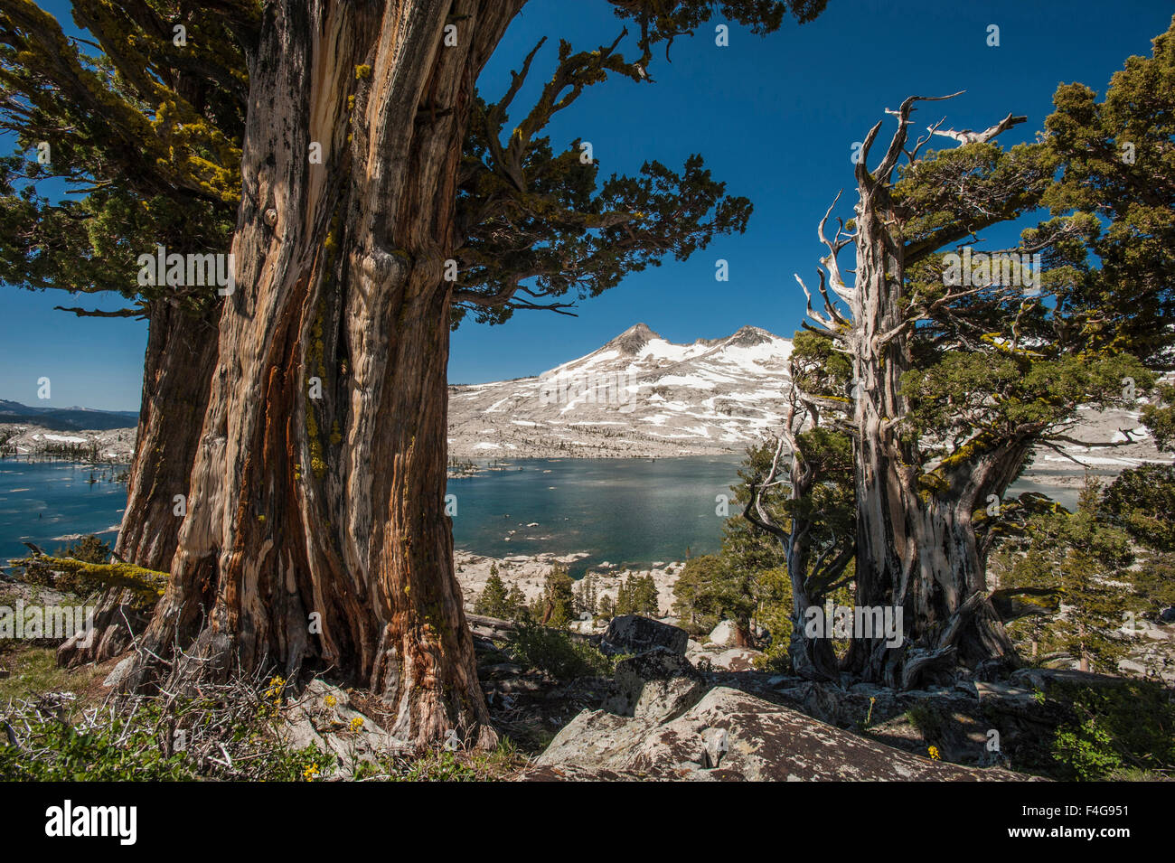 Lake Aloha sunrise Stock Photo - Alamy