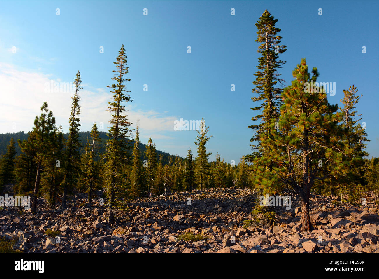 Chaos Jumbles and Dwarf Forest, Lassen Volcanic National Park ...